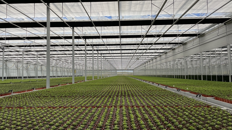 Solutions - HAWE Cultivation Systems