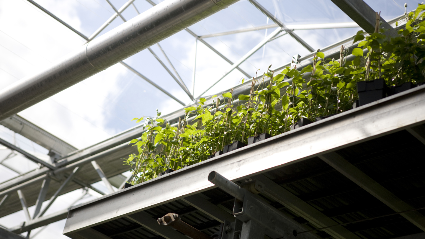 Mobile container systems - HAWE Cultivation Systems