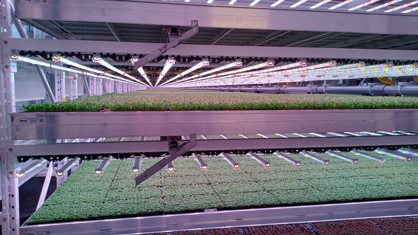 Multilayer systems - HAWE Cultivation Systems