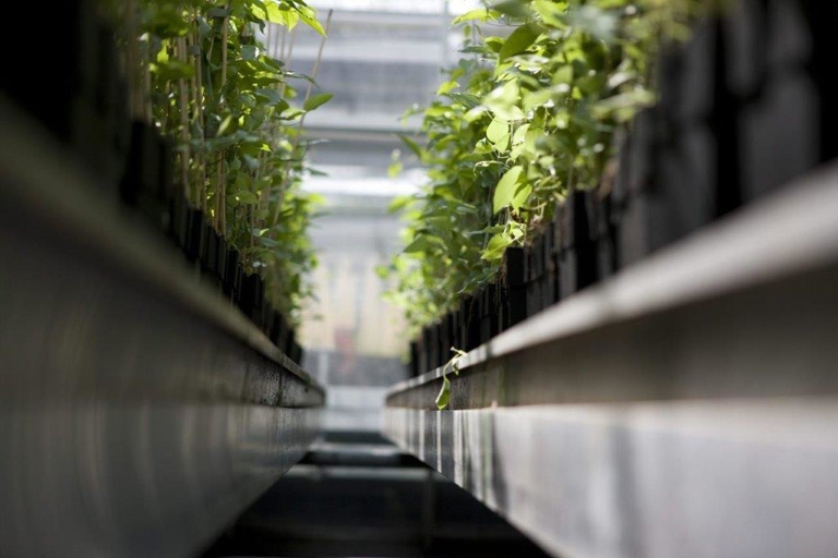 HAWE Cultivation Systems